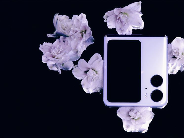OPPO предлагает открыть летний сезон без складок! | OPPO Kazakhstan